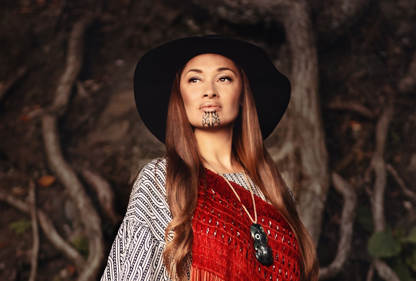 Matariki Festival 2020 to close with kōrero, star gazing and waiata ...