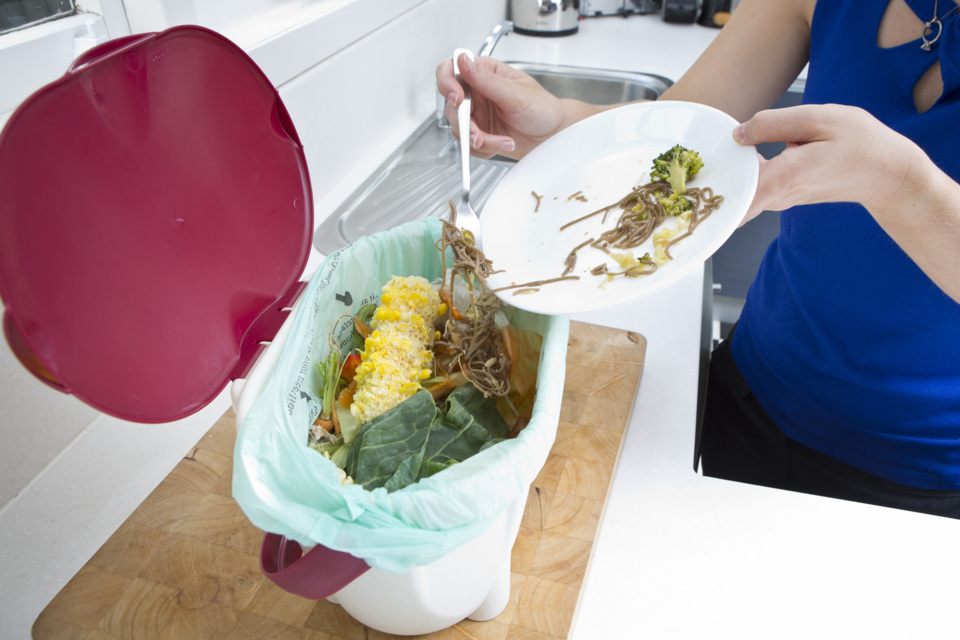Auckland Council announces world-class food scraps processing contract ...