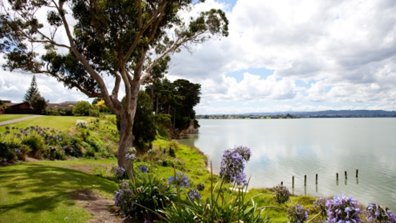 Spotlight on our local board neighbourhoods - Manurewa - OurAuckland
