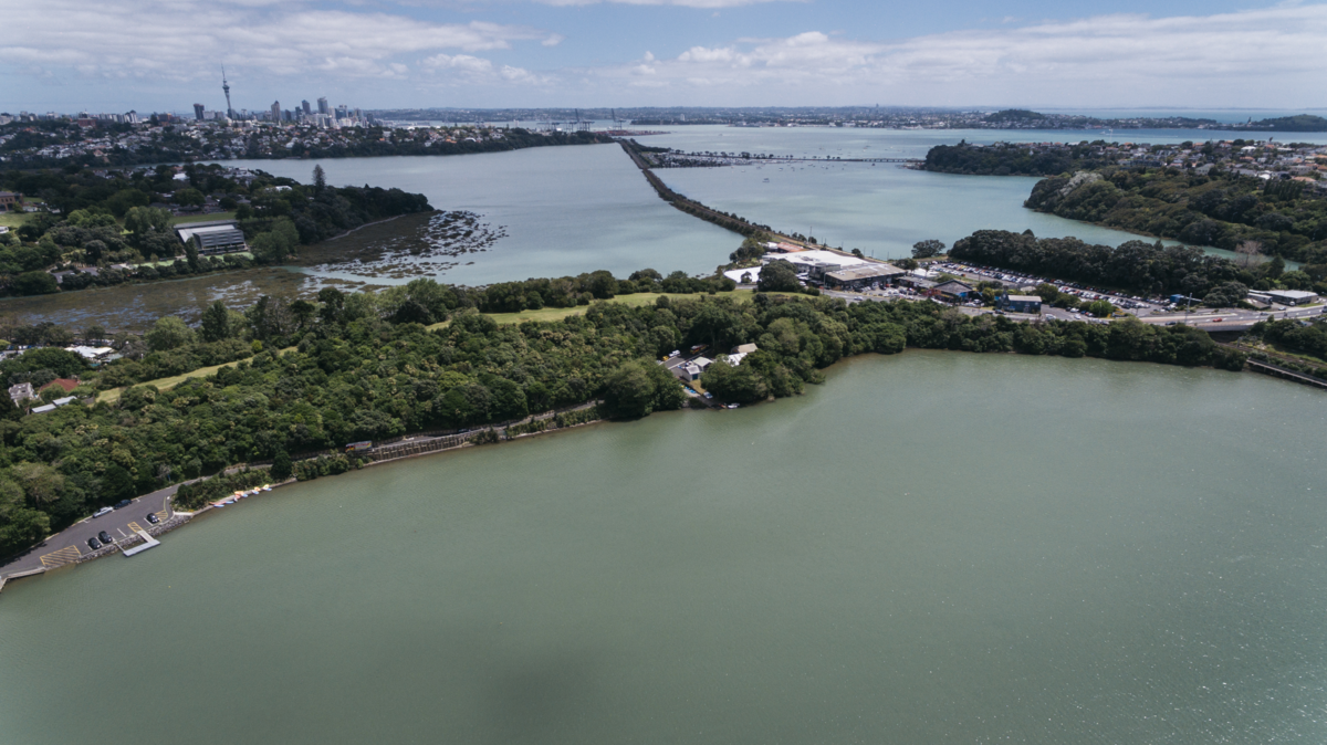 Auckland’s new budget delivers boost for Ōrākei - OurAuckland