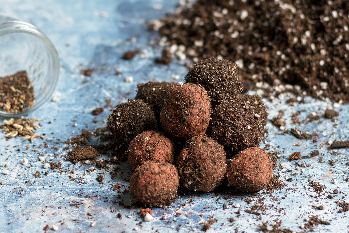 Seed Bomb Workshop - OurAuckland