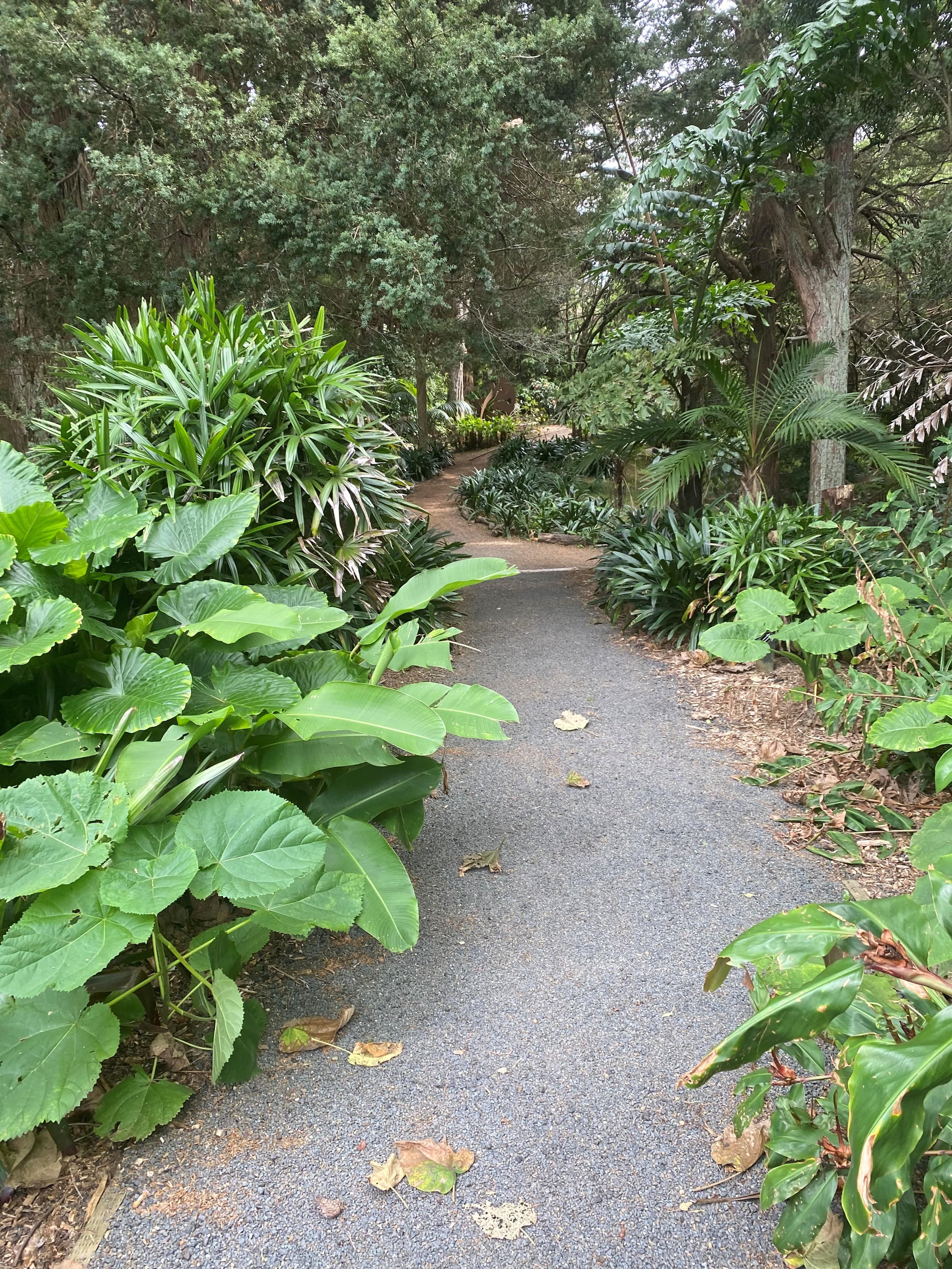 Guided Walking Meditation - OurAuckland
