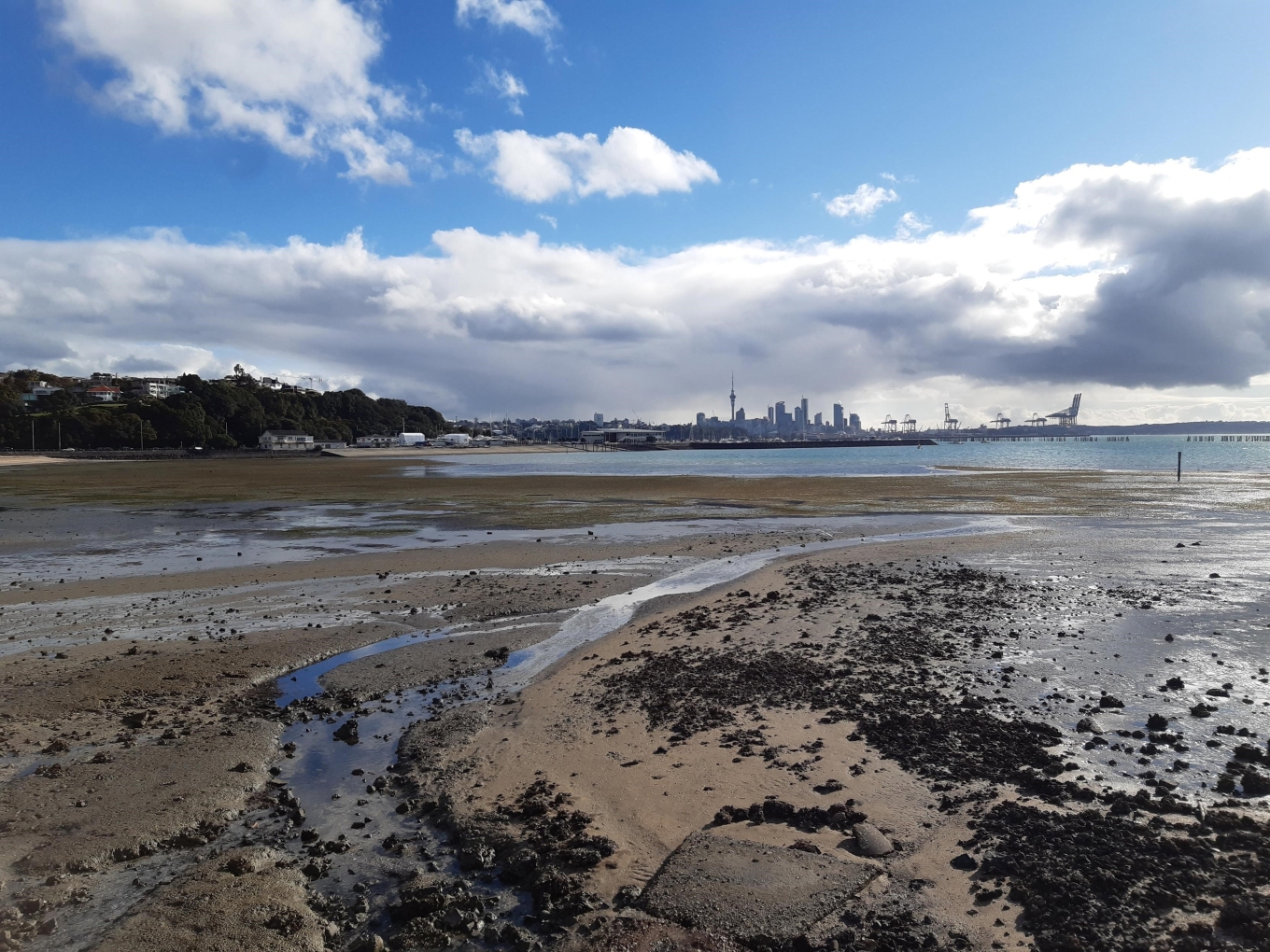 State of the Environment Report: Auckland is improving in part but big ...