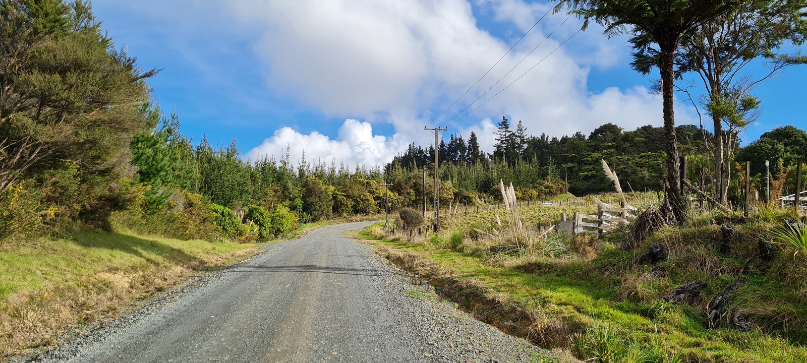 A new look at unsealed roads - OurAuckland