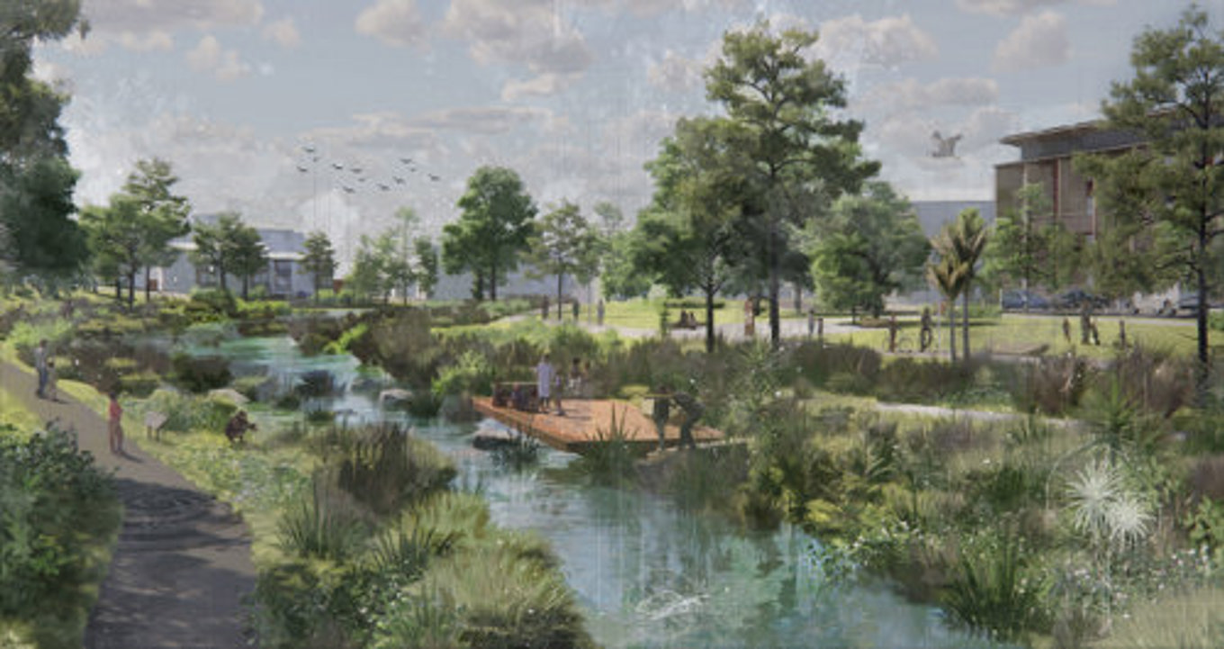 Te Aka Raataa: Regenerating Te Puhinui for a Greener Future - OurAuckland