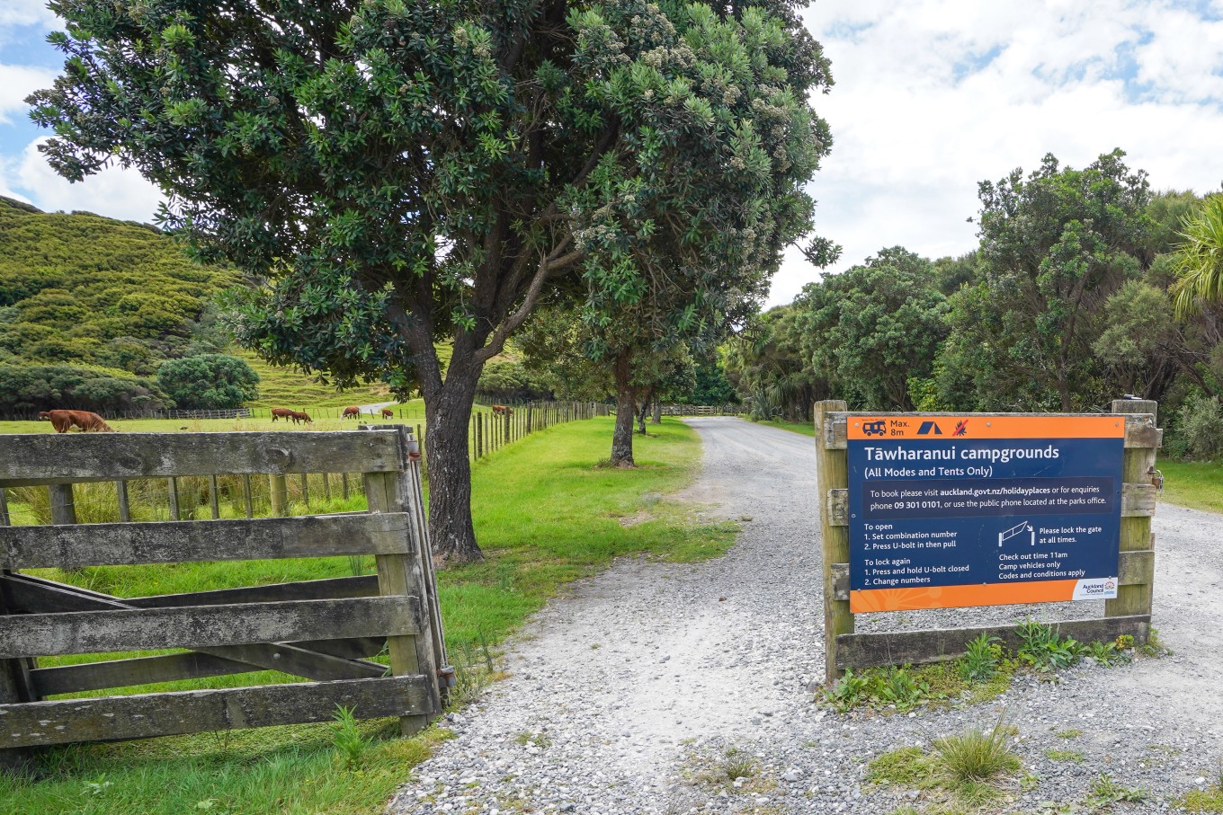 Fall in love with camping at one of Auckland’s regional parks - OurAuckland