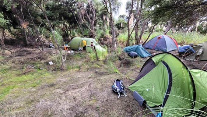 Mana whenua guidance key to reptile surveillance - OurAuckland