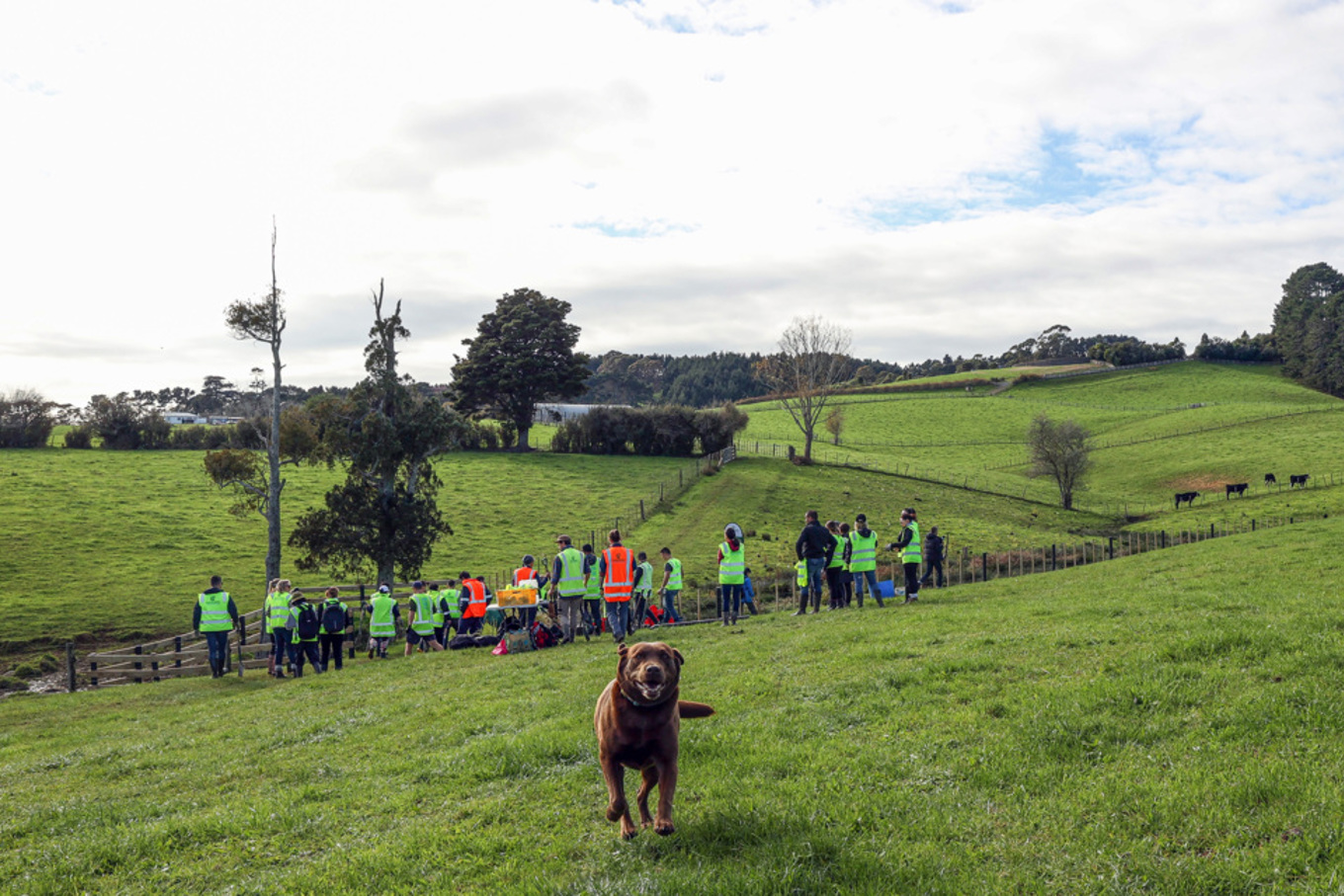 Mission launched to save Papakura Stream - OurAuckland