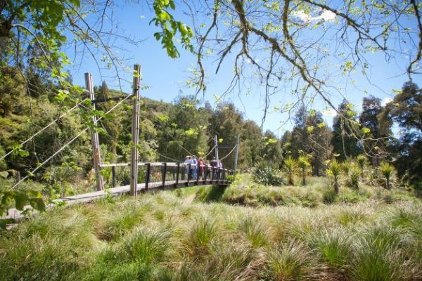 Auckland Events - Family, Festivals and more - OurAuckland