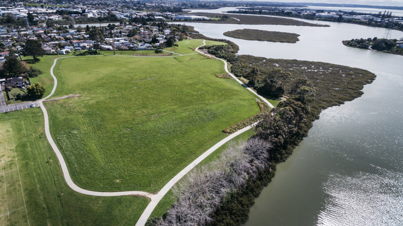 Improving water quality in the Whau - OurAuckland