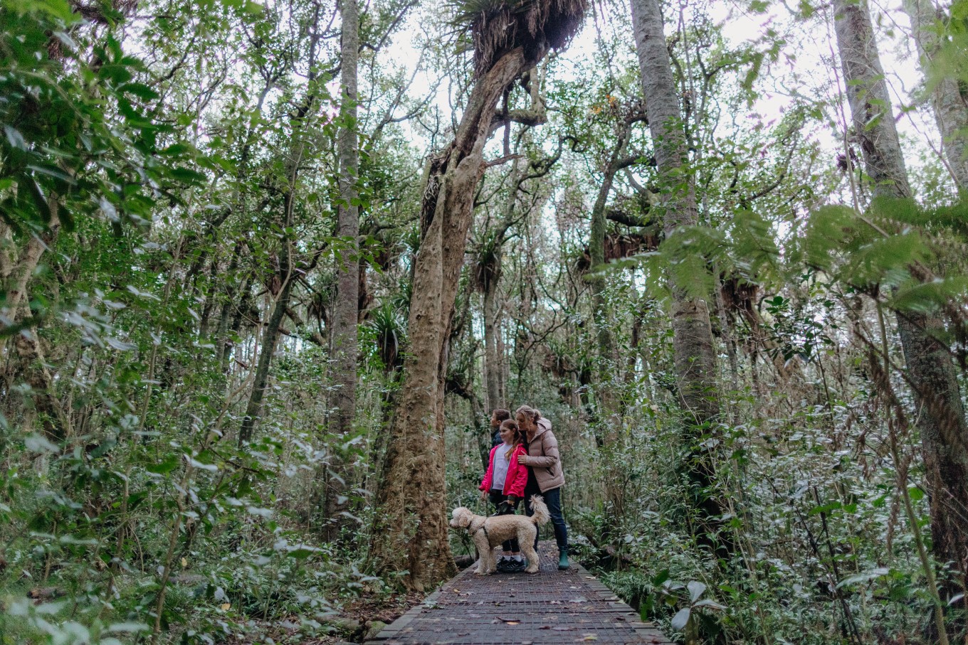 Get out and about in Auckland with these wonderful winter walks ...