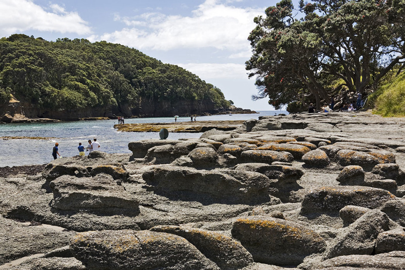 Goat Island not what it used to be - OurAuckland