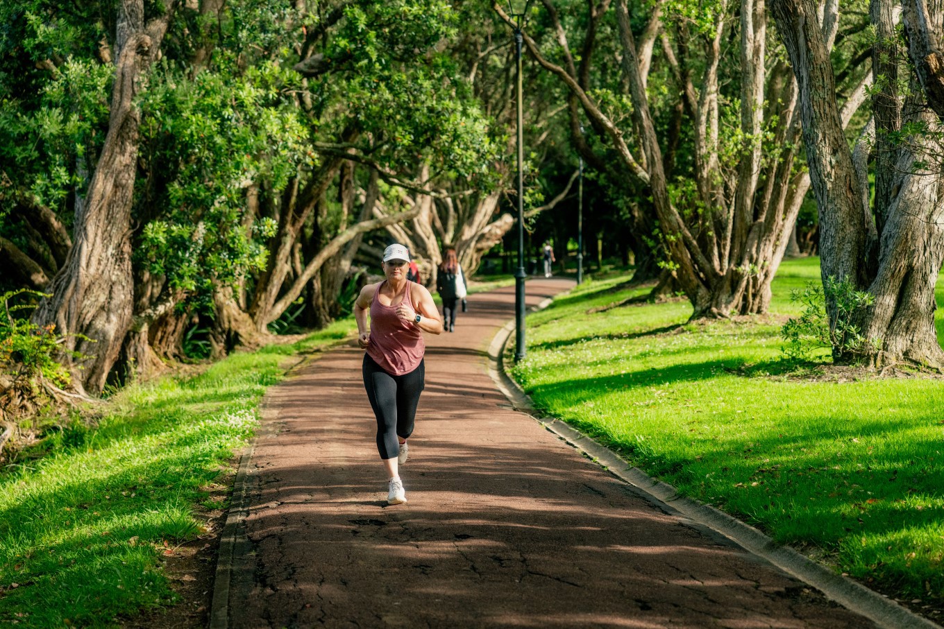 Come to the dark side - summer walks in the shade - OurAuckland