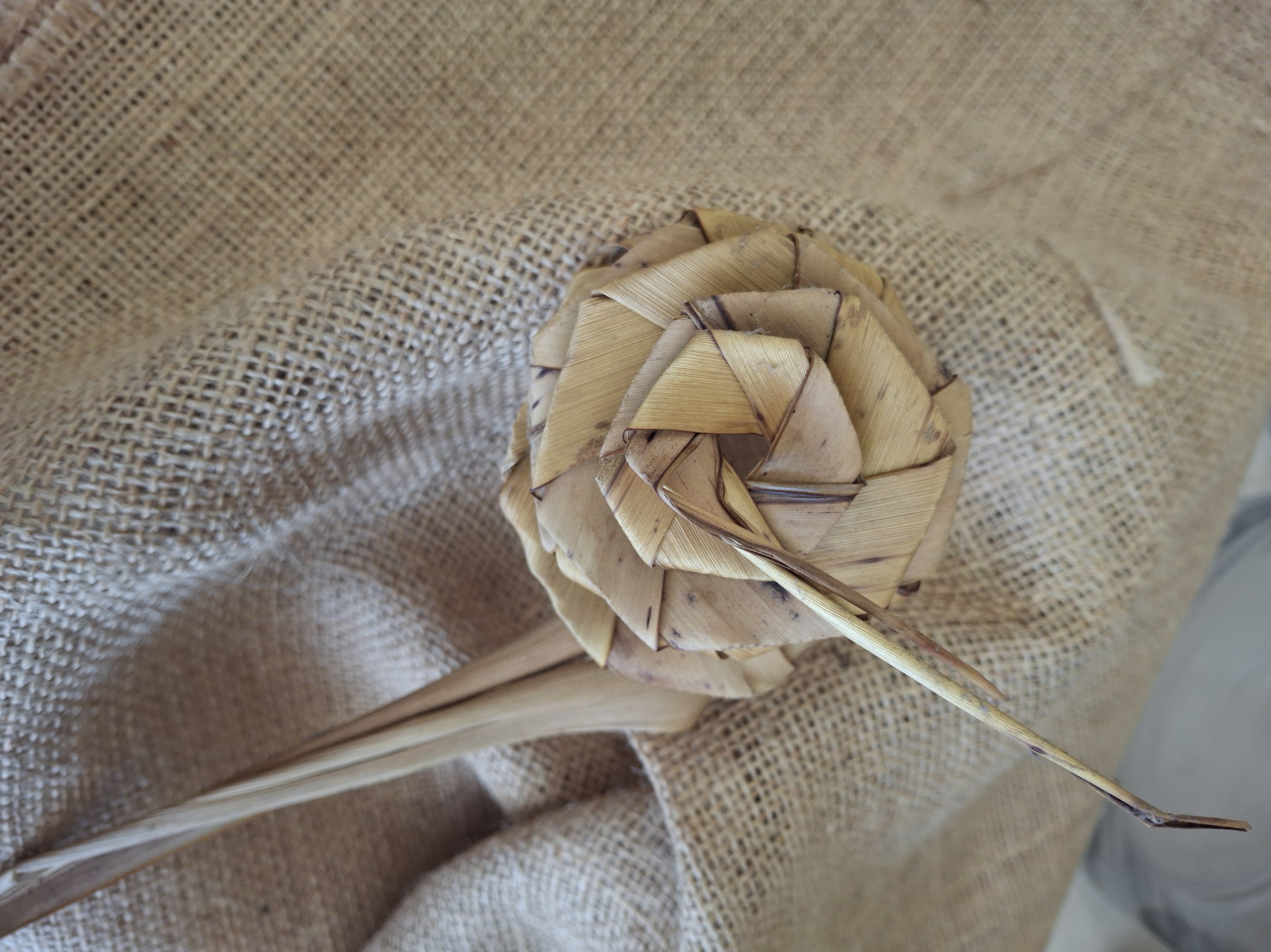 Weave your own putiputi (flowers) - OurAuckland