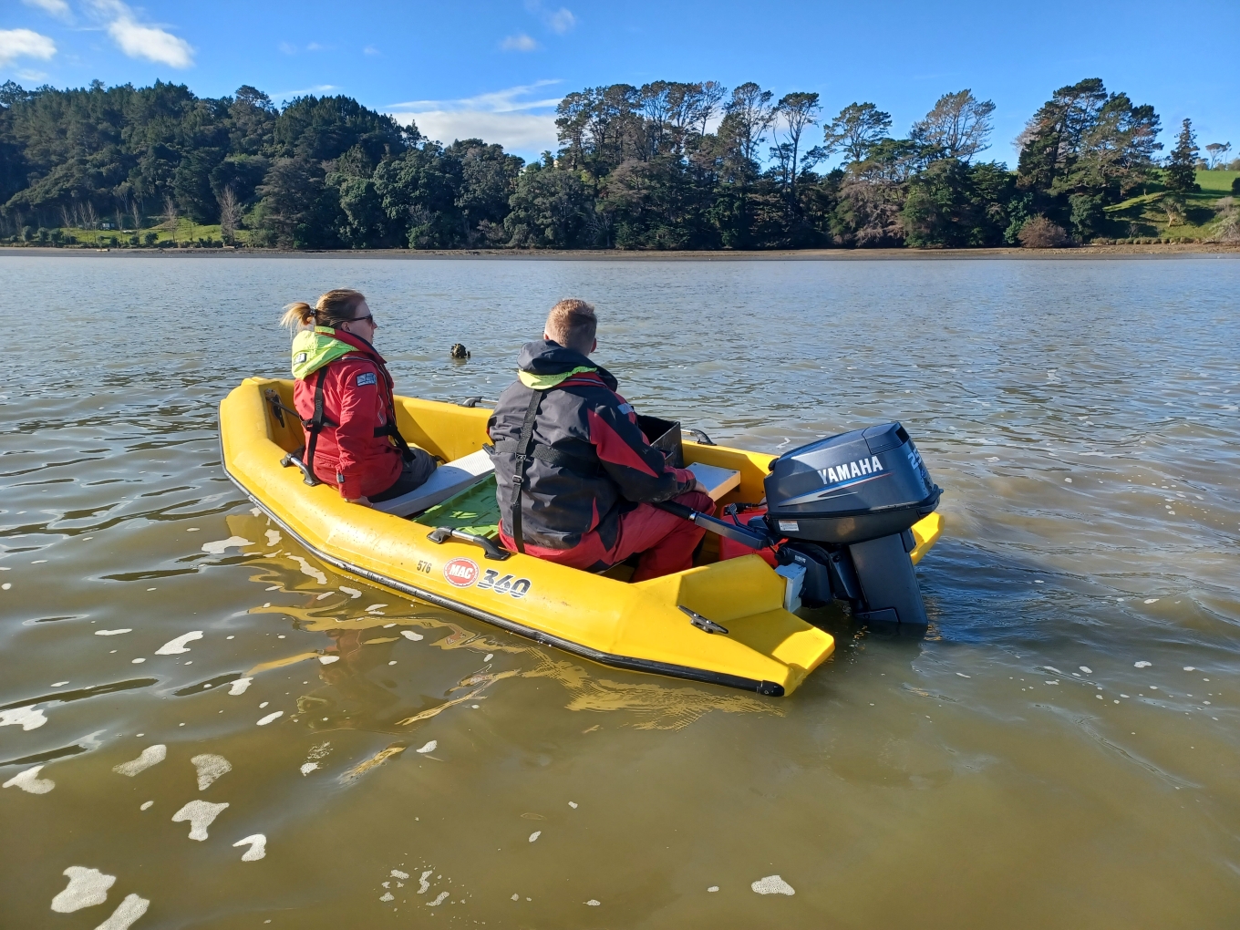 State of the Environment Report: Auckland is improving in part but big ...