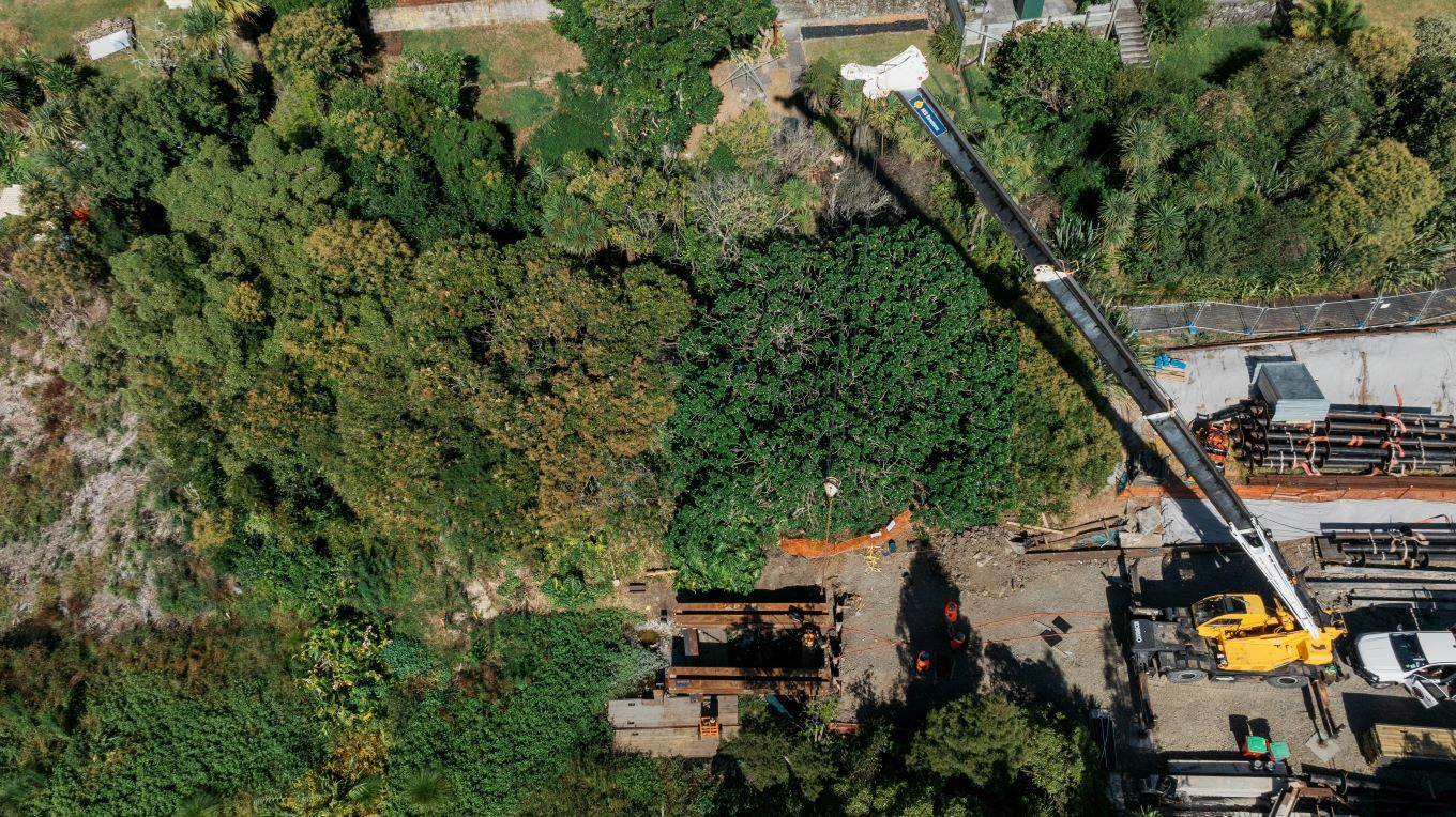 Te Whau Pathway: video gives sneak peek at construction project ...