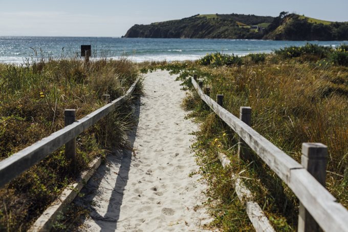 Discover the holiday in Whangateau Holiday Park - OurAuckland