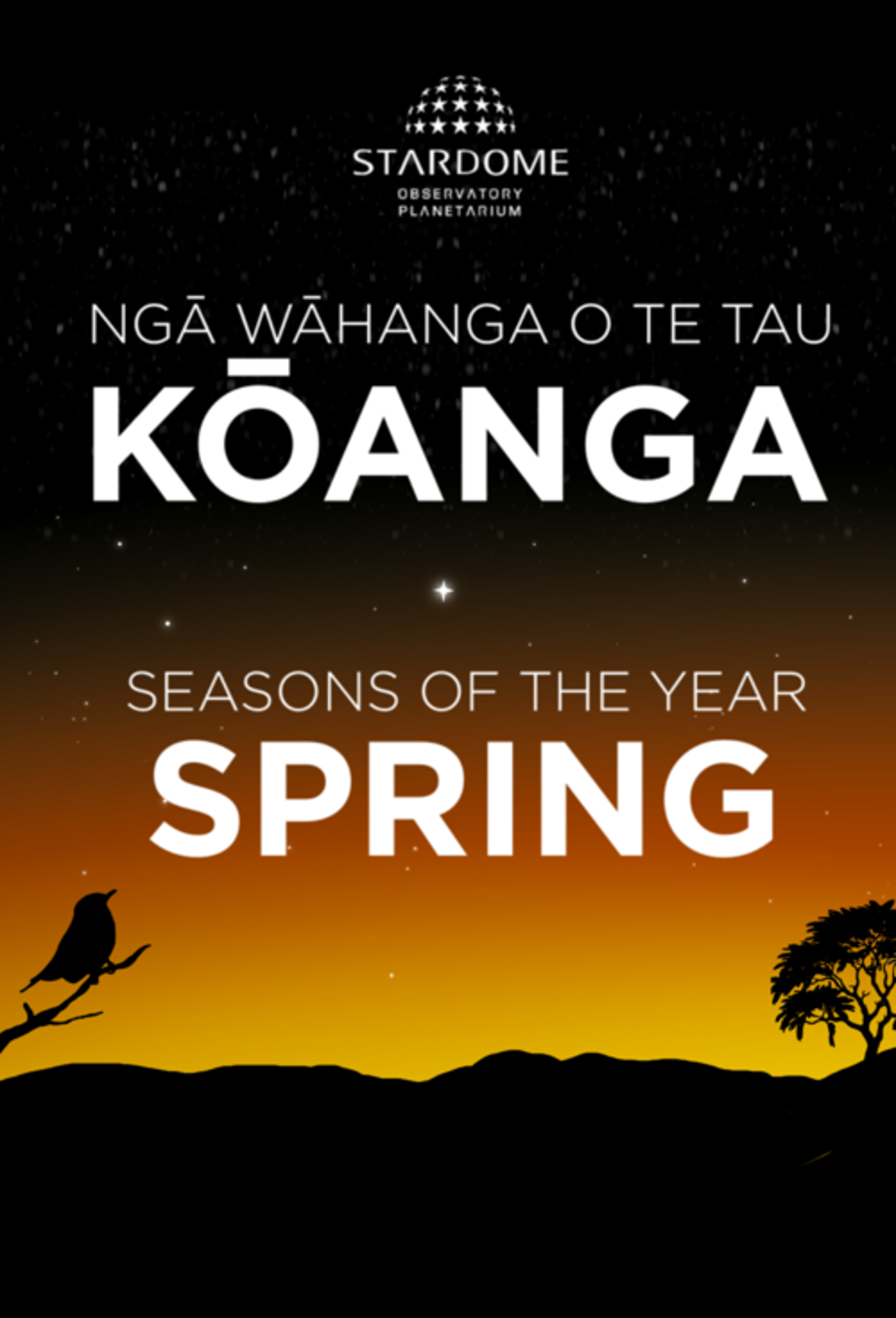 Ngā Wāhanga o te Tau: Kōanga at Stardome - OurAuckland